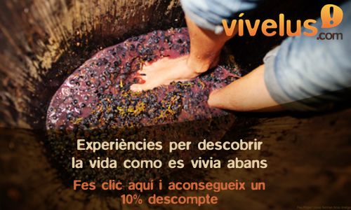 VIVELUS - Experiències per descobrir la vida com es vivia abans ...